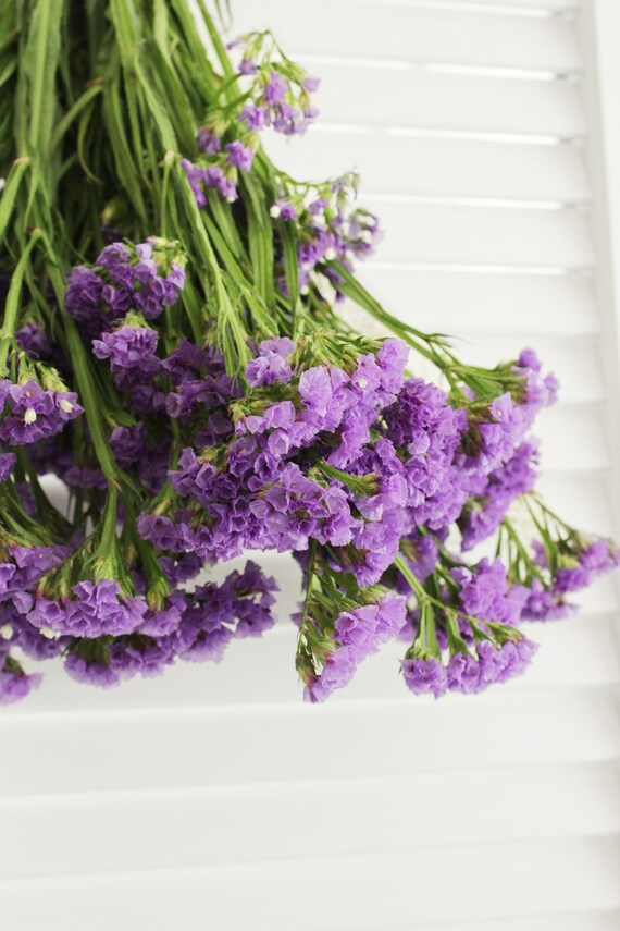 Fresh Purple Statices limonium 10-12 Stems free Shipping | Etsy