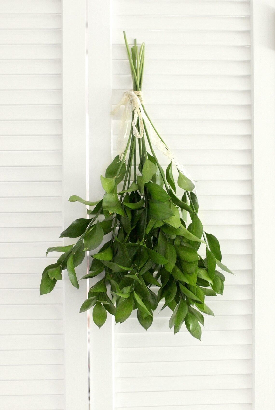 Fresh Cut Israeli Ruscus 10 Stems free Shipping DIY - Etsy