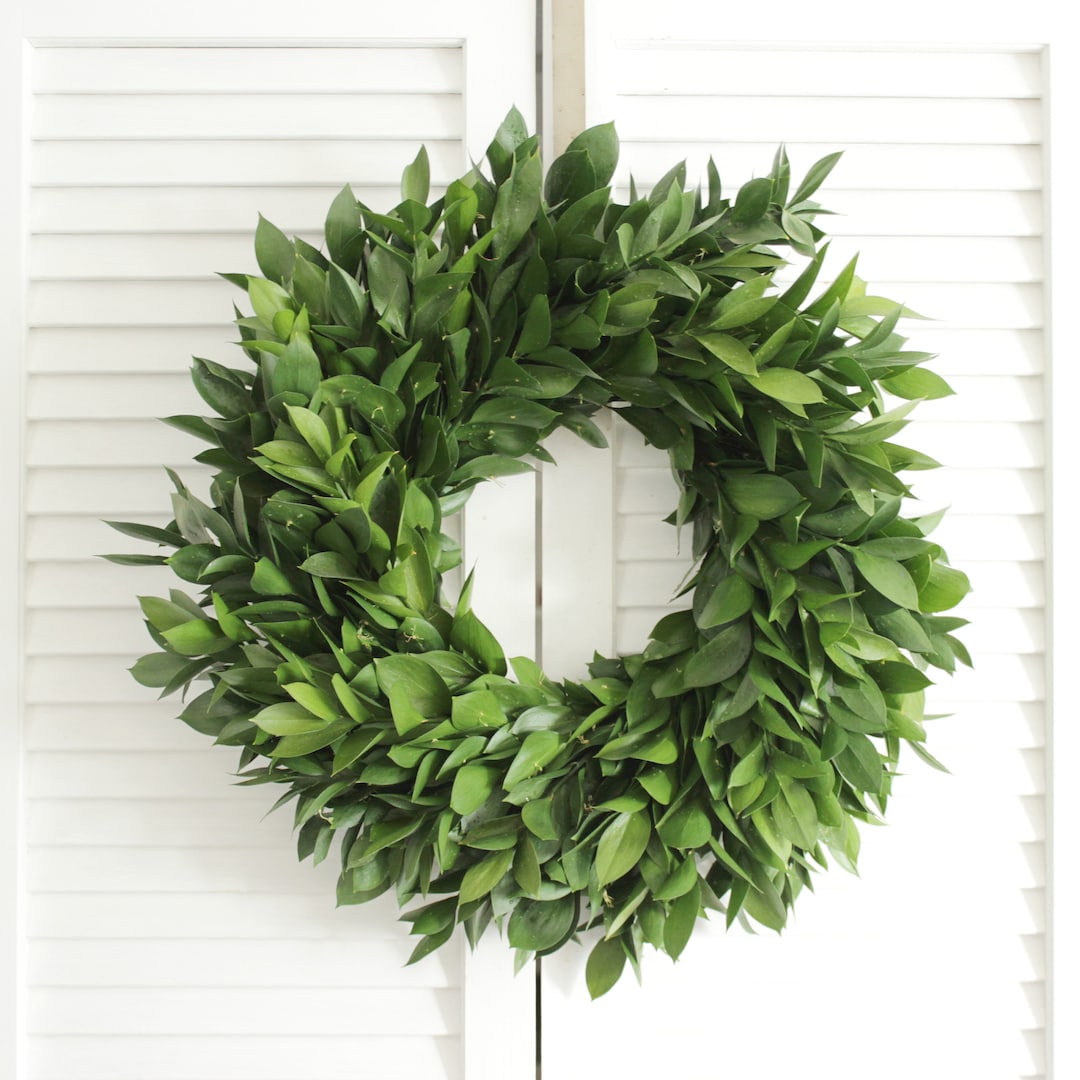 Fresh Cut Living Israeli Ruscus Greenery Wreath 20 Inch | Front Door ...