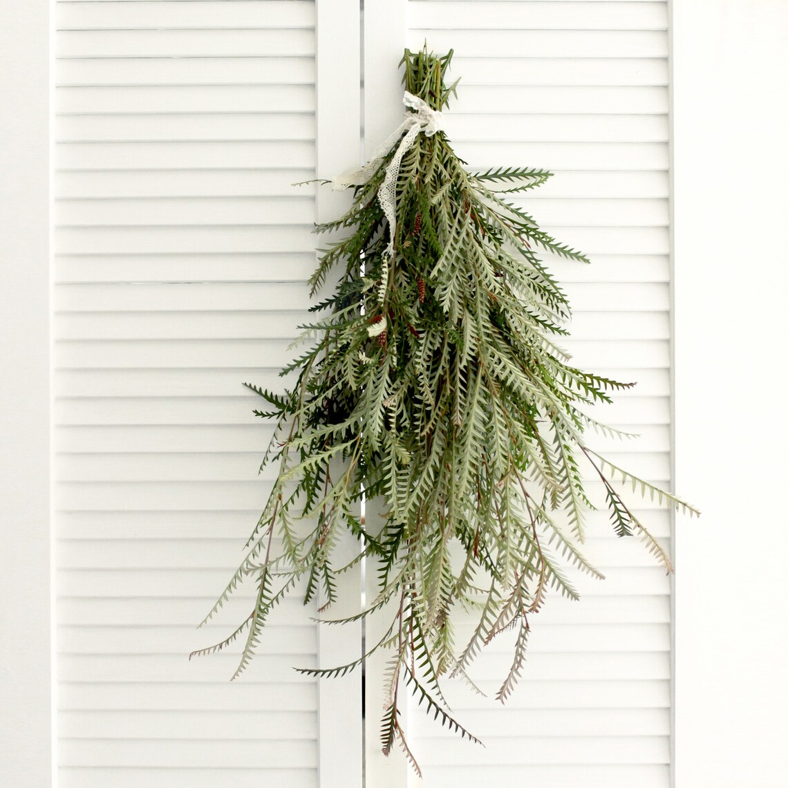 Fresh Grevillea Foliage - Free Shipping - for DIY Wedding | Bouquet ...