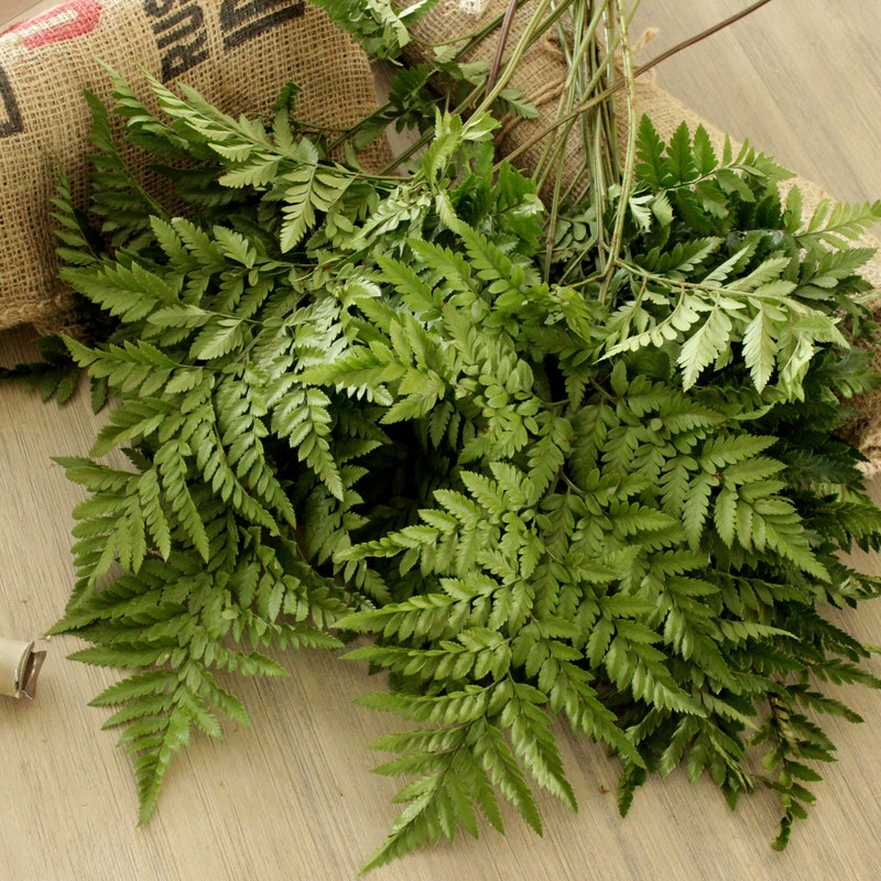 Leather Leaves - Etsy