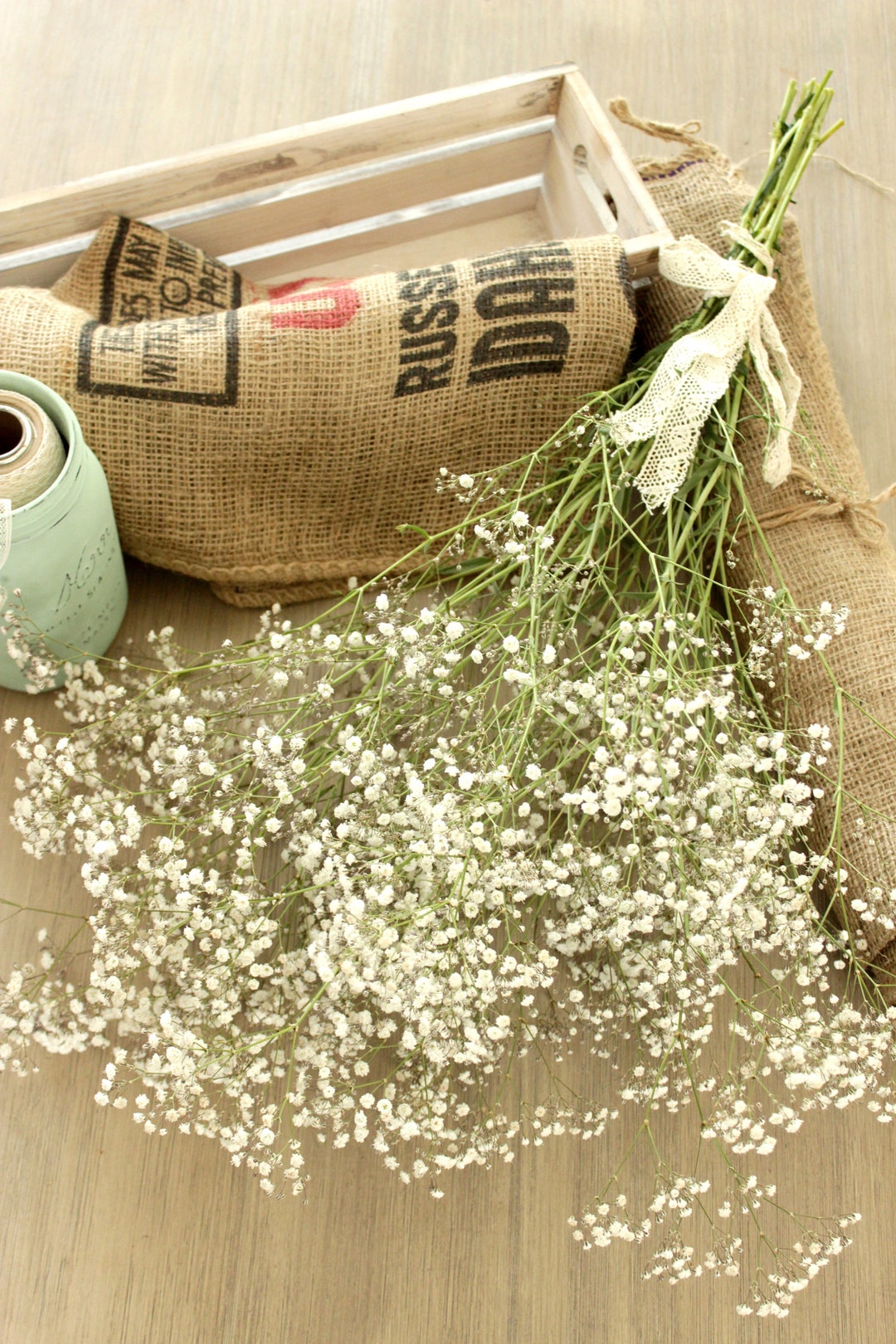 Fresh Babys Breath Gypsophila 5-7 Stems free Shipping - Etsy