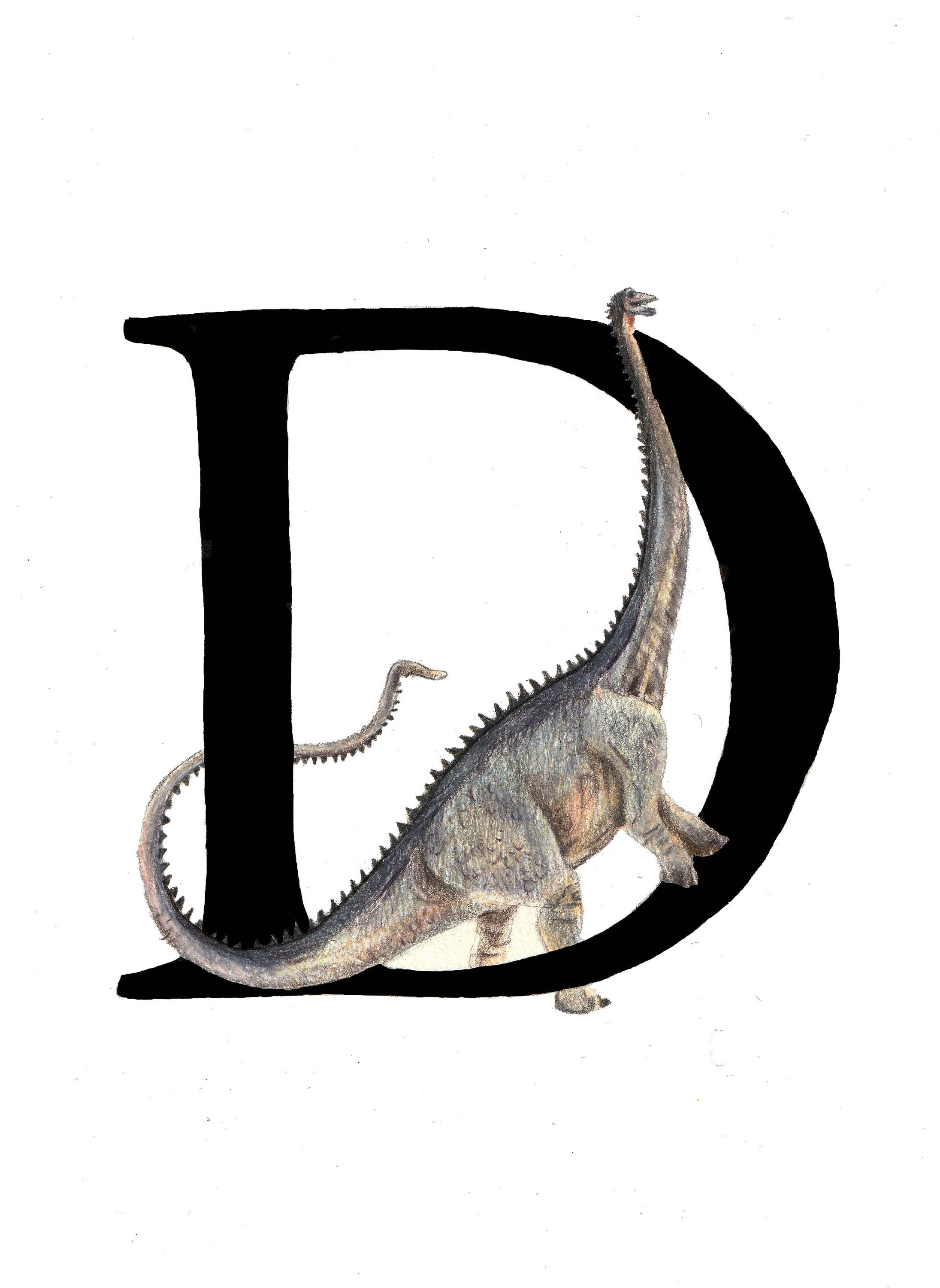 D is for Diplodocus Dinosaur Print - Illustration - Drawing - Nursery ...