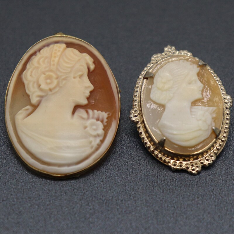 Shell Cameo - Etsy
