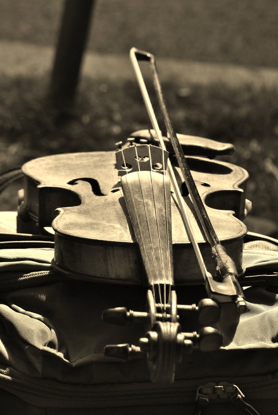 Digital violin download | Etsy