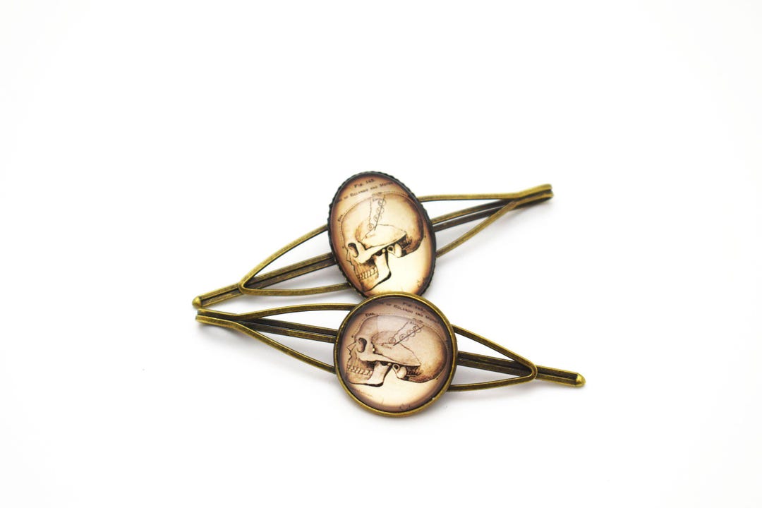 Skull Hair Clip, Anatomy Skull Hair Pin, Medical Hair Accessories - Etsy