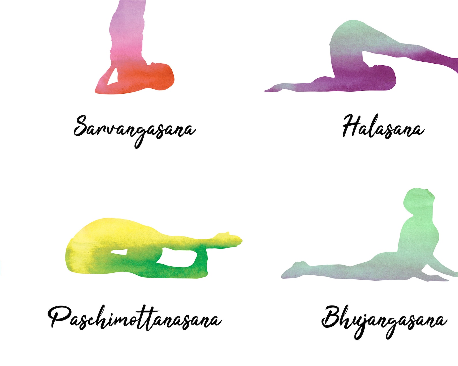 12 Basic Poses Yoga Print, Yoga Asana Poster, Yoga Gift, Meditation ...