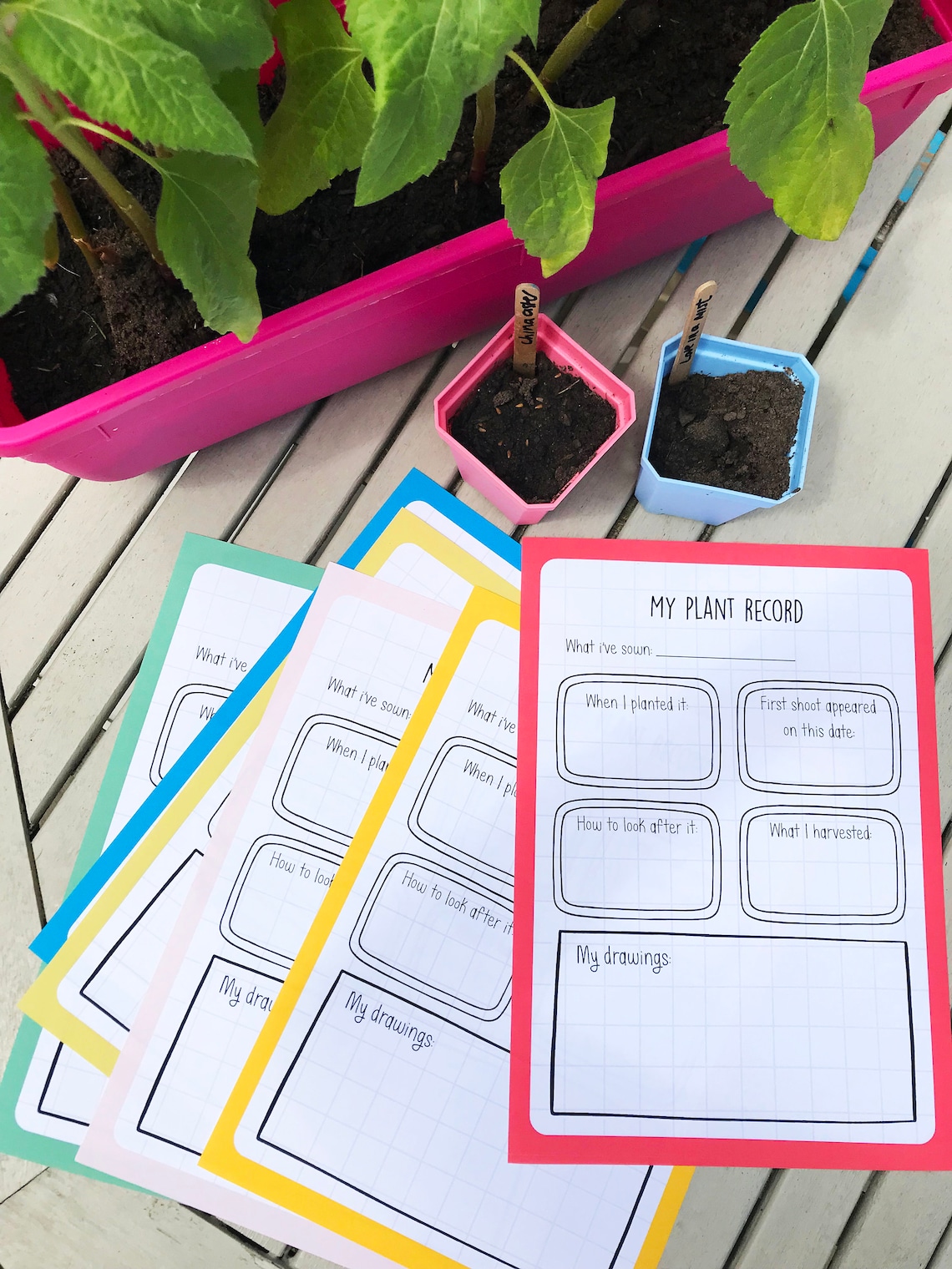 Plant Record | Grow Your Own Flowers Vegetables Record Sheet ...