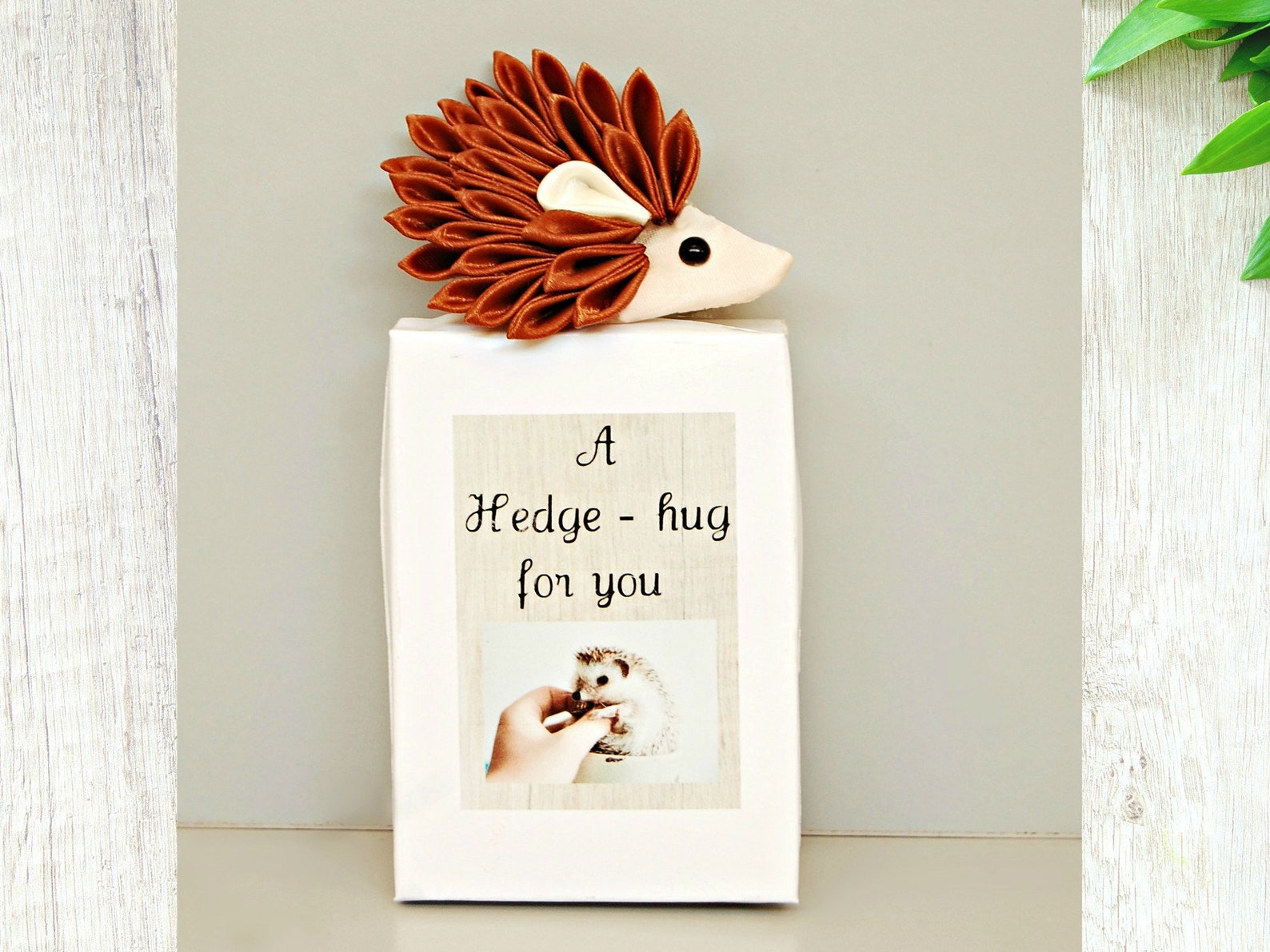Cheer up Box Cute Hedgehog Gifts Hedge Hug for You in A Box | Etsy ...