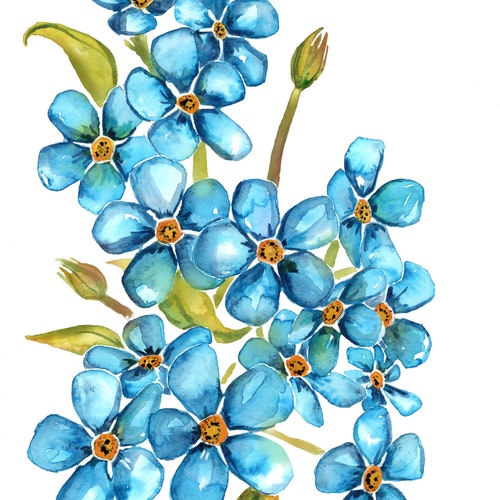 Forget Me Not Watercolor - Etsy