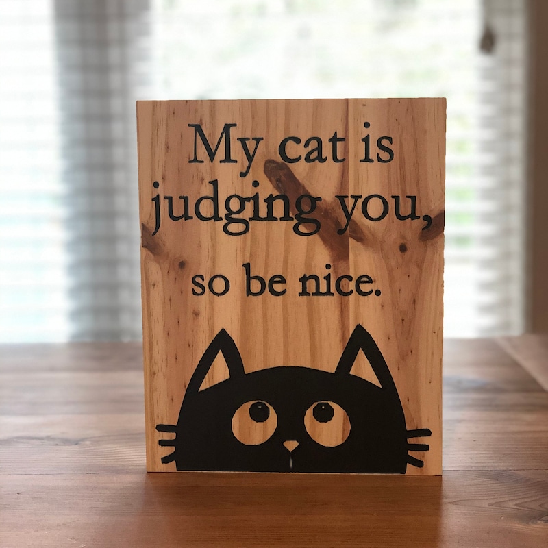 Funny Cat Signs - Etsy