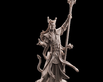 Tiefling, Male, Mage, Wizard, Sorcerer, Heavy Cape, Crystal Staff ...