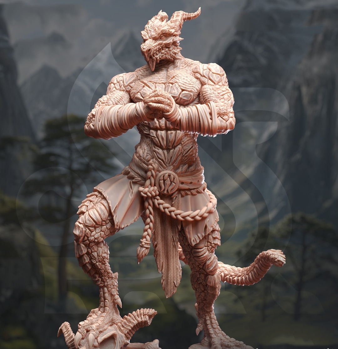 Male Dragonborn Monk Fighter Brawler - Etsy
