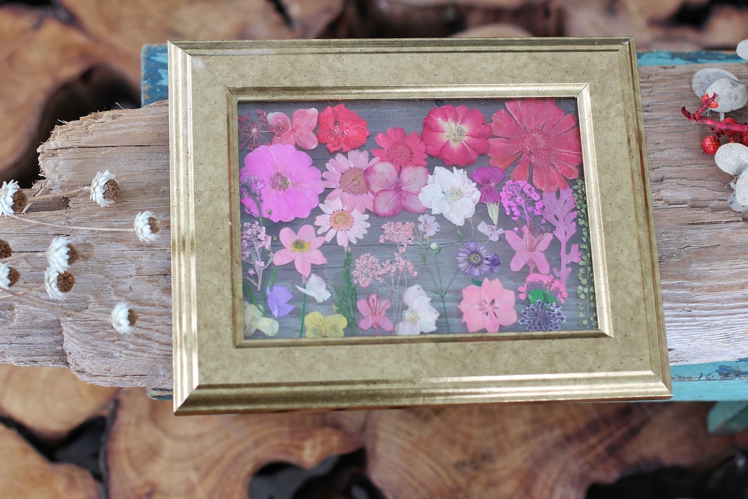 Pressed Dried Flowers Leaves Art Collage Frame Preserved Dried - Etsy