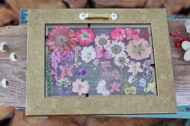 Pressed Dried Flowers Leaves Art Collage Frame Preserved Dried | Etsy