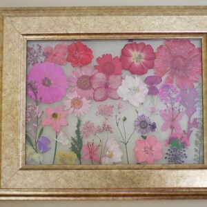 Pressed Dried Flowers Leaves Art Collage Frame Preserved Dried - Etsy