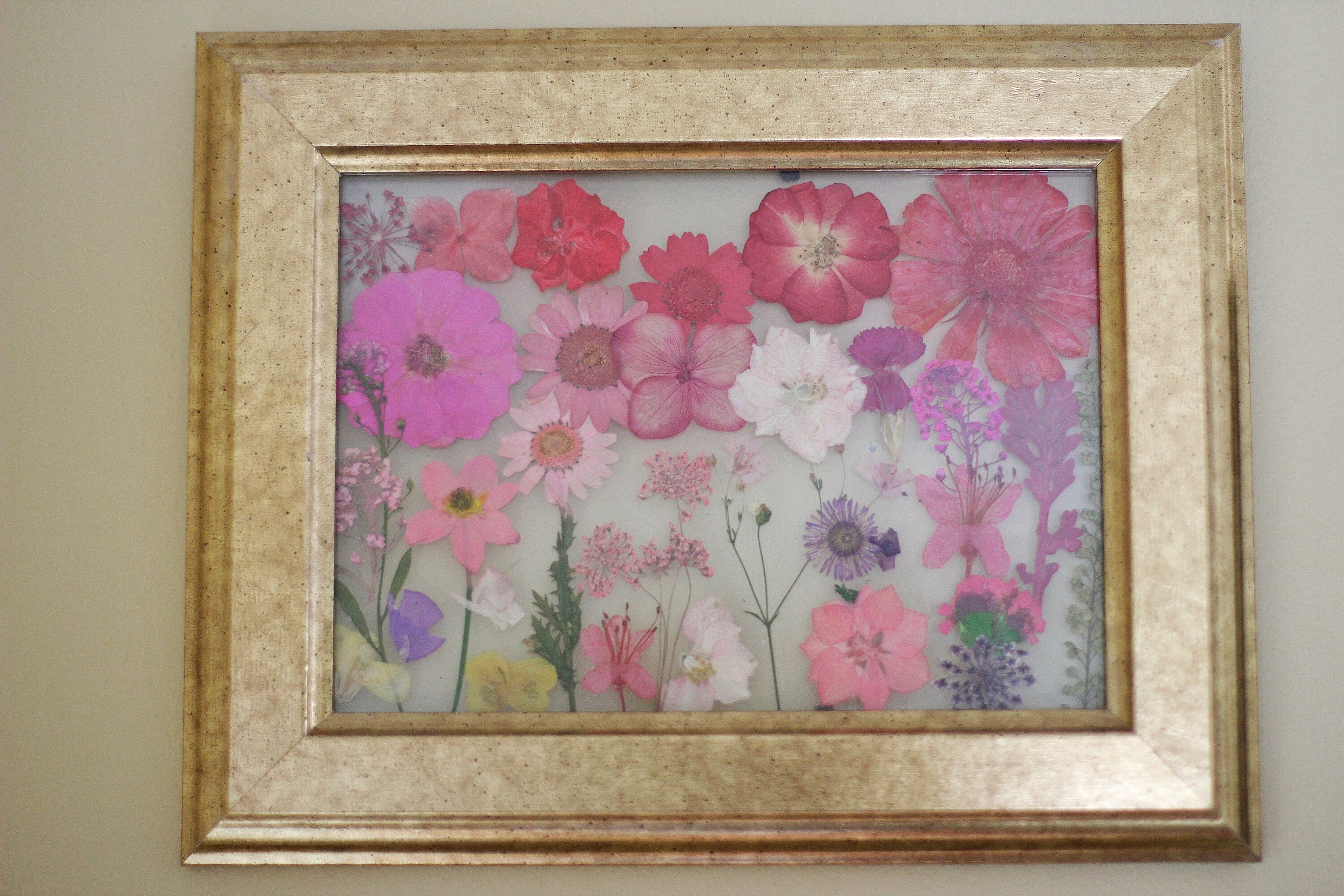Pressed dried flowers leaves art collage frame preserved dried | Etsy
