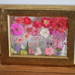 Pressed Dried Flowers Leaves Art Collage Frame Preserved Dried - Etsy