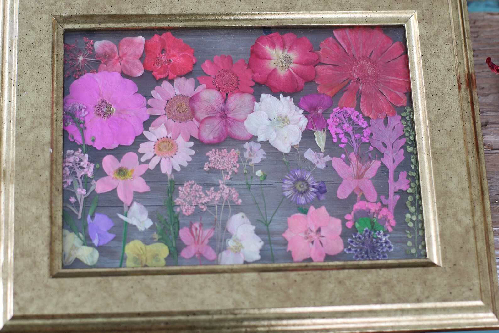 Pressed Dried Flowers Leaves Art Collage Frame Preserved Dried | Etsy
