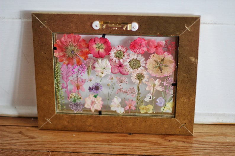 Pressed Dried Flowers Leaves Art Collage Frame Preserved Dried | Etsy