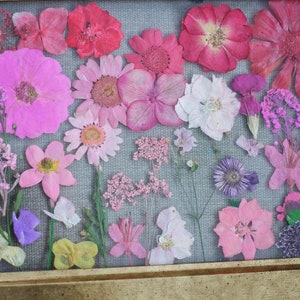 Pressed Dried Flowers Leaves Art Collage Frame Preserved Dried - Etsy