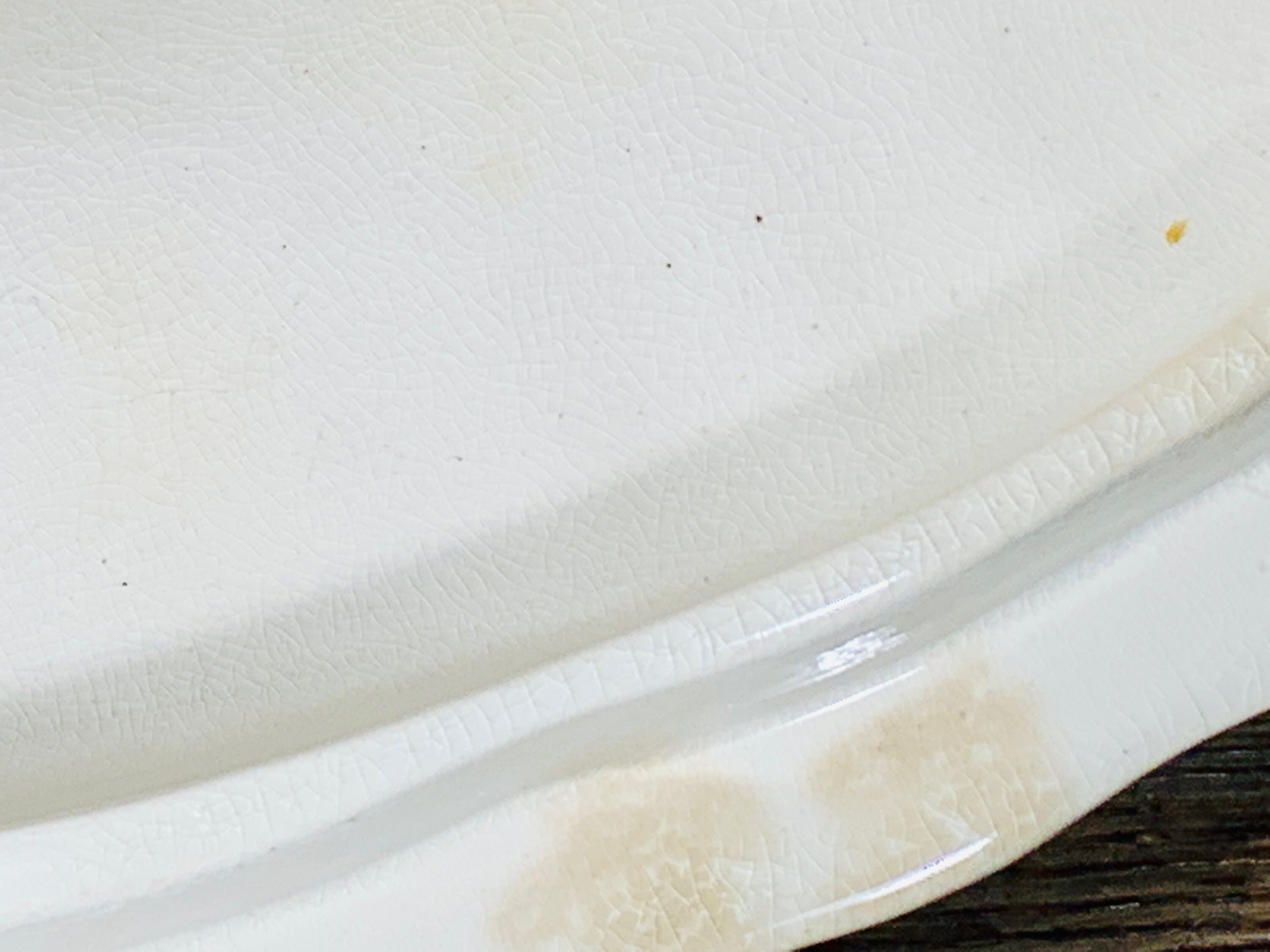 Thomas Rathbone & Co. Pottery Antique Victorian Tureen Convolvulus ...