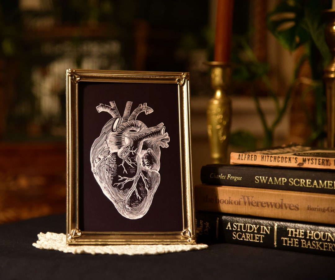 Anatomical Heart Artist Signed Print - Etsy
