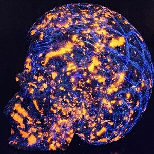 Natural Yooperlites Snake Eating Skull Stunning Carved Peaceful Beauty ...