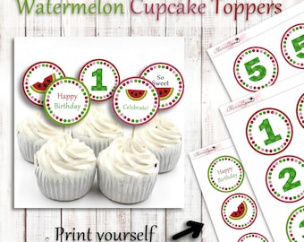 Watermelon Party Cupcake Toppers One in a Melon Cupcakes - Etsy
