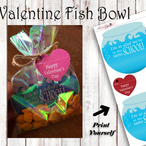 Fish Bowl - Etsy