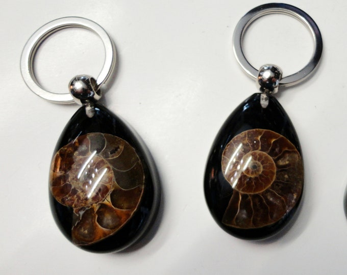 Ammonite Fossil Keychain - Etsy