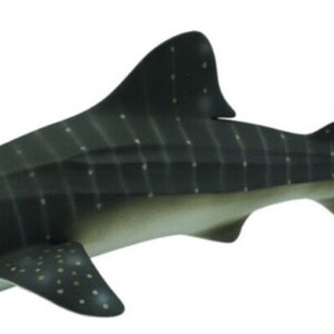 Whale Shark Sealife Toy Model Figure by Collecta 88453 Brand New - Etsy