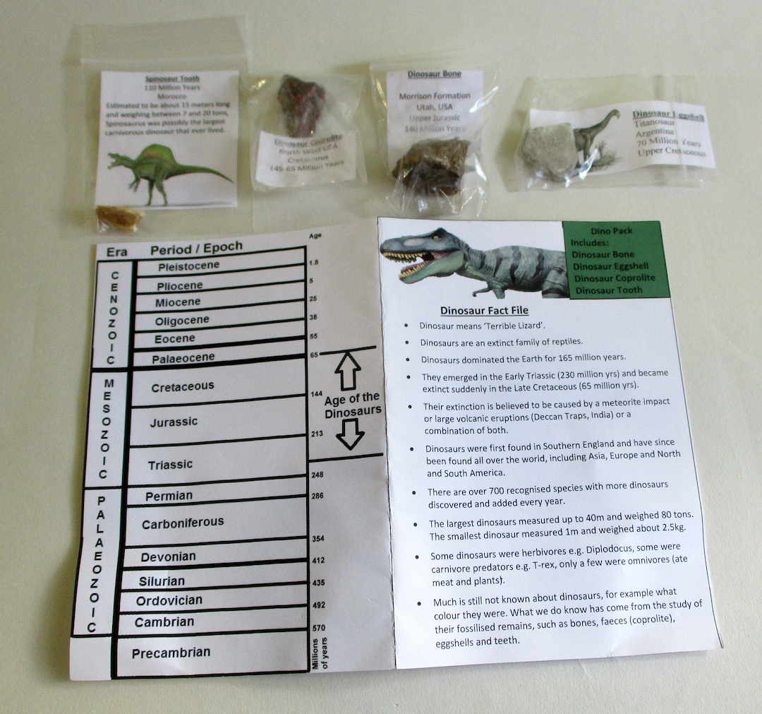 Dinosaur Fossil Pack Bone Croprolite (poo) Egg Shell Tooth Time Line ...