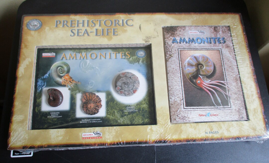 Prehistoric Sea-life Ammonites Magnifying Glass Stand Book and Fossils ...
