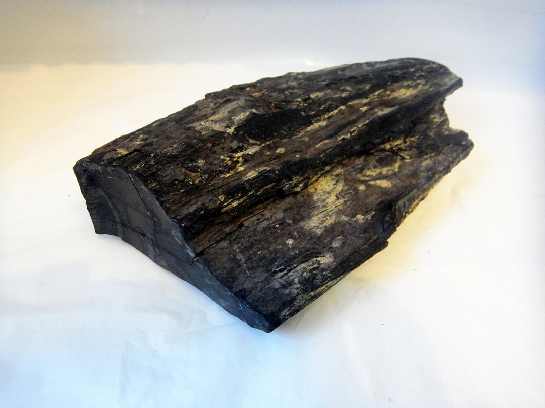 Whitby Jet Large Natural Piece of Fossilised Wood 160mm 430g - Etsy