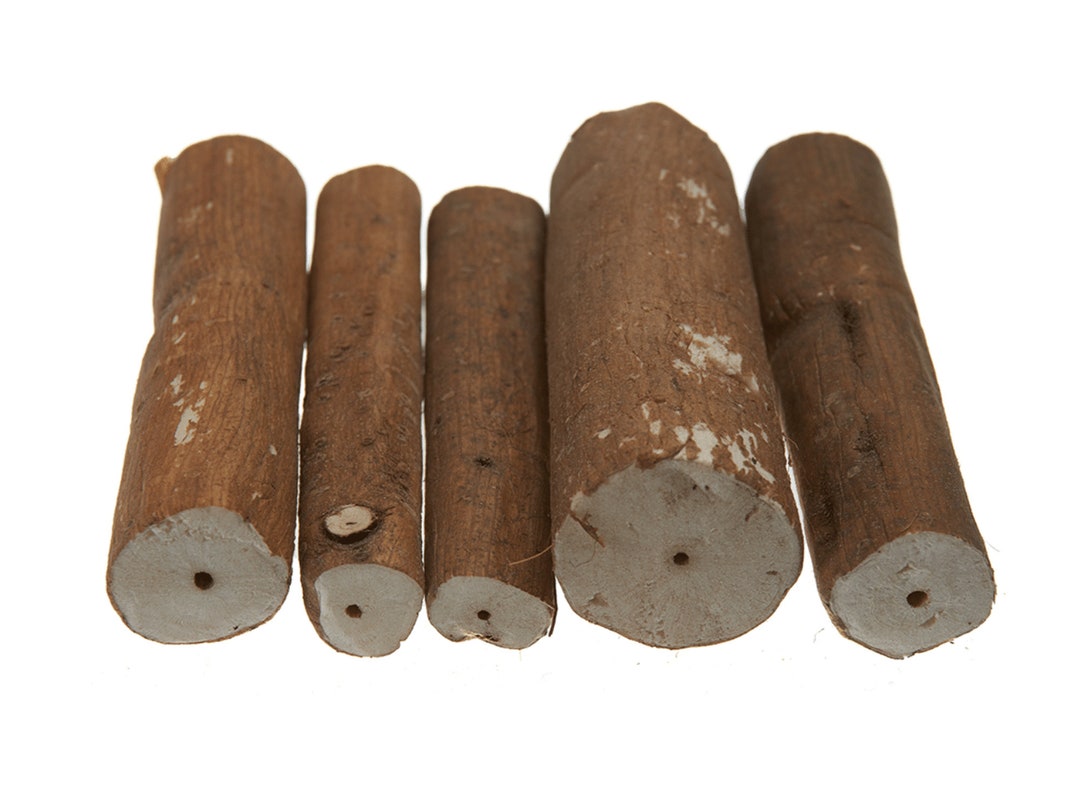 Pithwood Cleaning Logs Bundle of 5 Watchmakers Pith Wood Cleans Watch ...