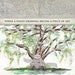 15 Generations Ancestry Family Tree. Printable Family Tree to Fill in ...