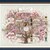 Pink Family Tree Template for 5 Generations. Ancestors Family Tree ...