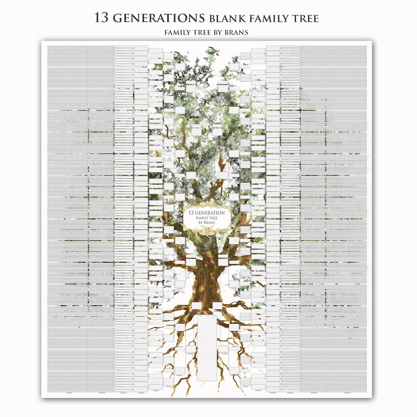 50x54 Large 13 Generations Family Tree Printable Digital - Etsy Canada