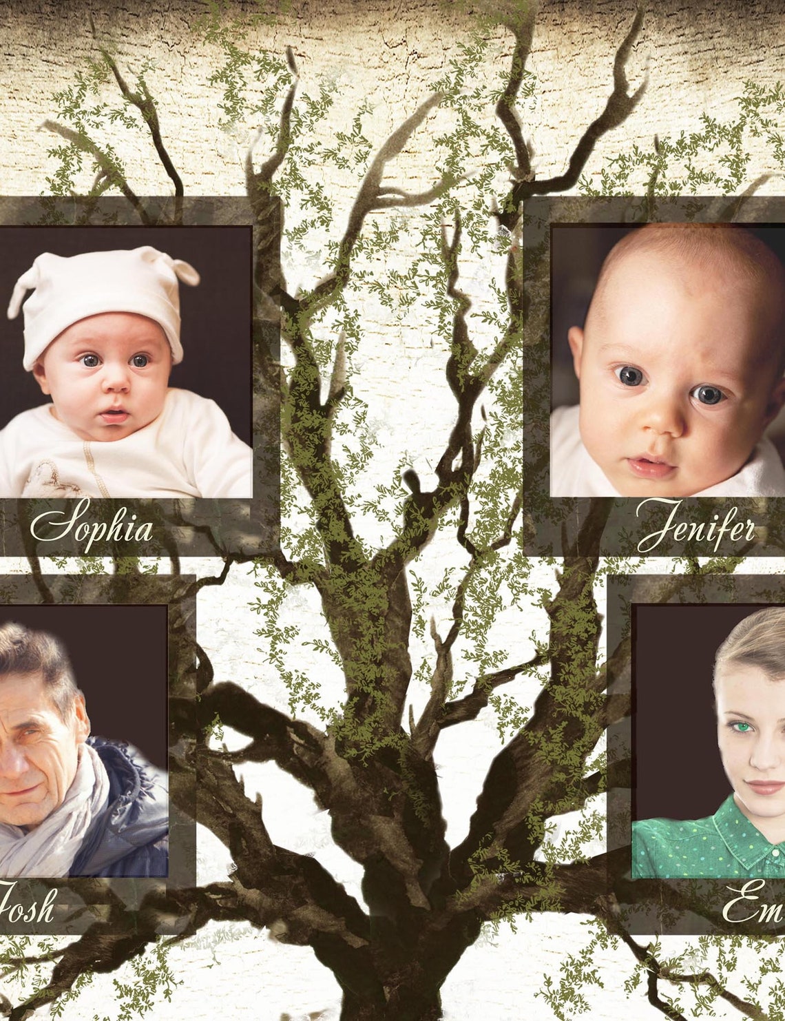 Editable PSD Family Tree Template With Photos Family Tree - Etsy UK