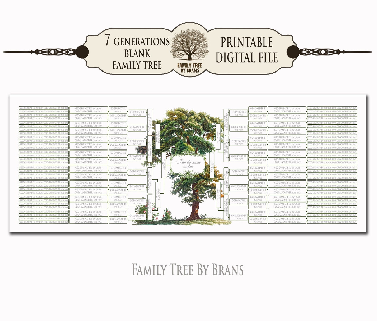 7 Generation Family Tree Template Green Family Tree Wall Art - Etsy