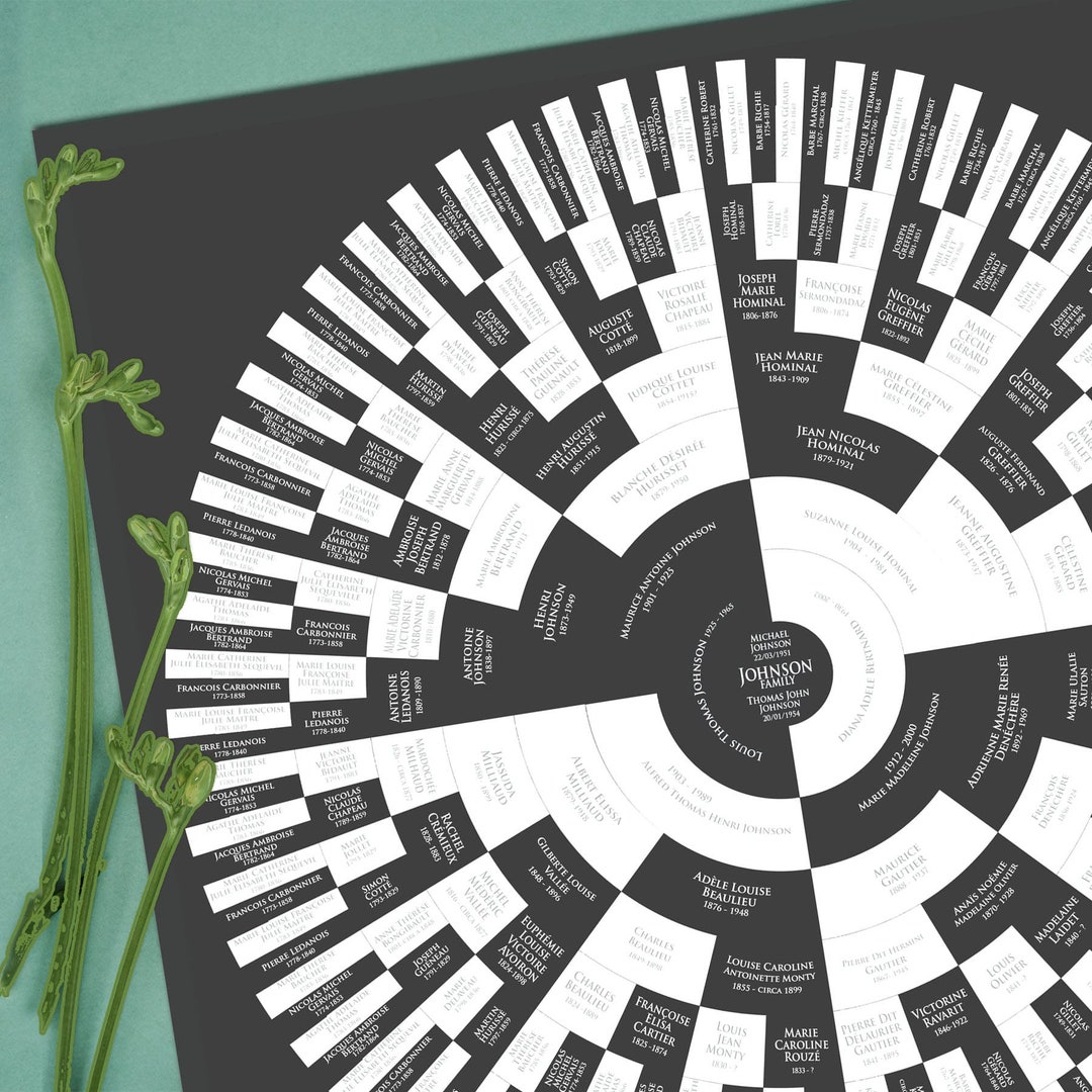 Black and White Family Tree. Personalized Ancestry Family - Etsy