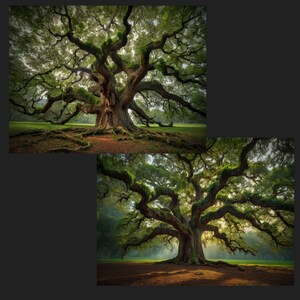 Large Tree 24 Pieces Realistic Digital Bundle Old Green Tree With ...