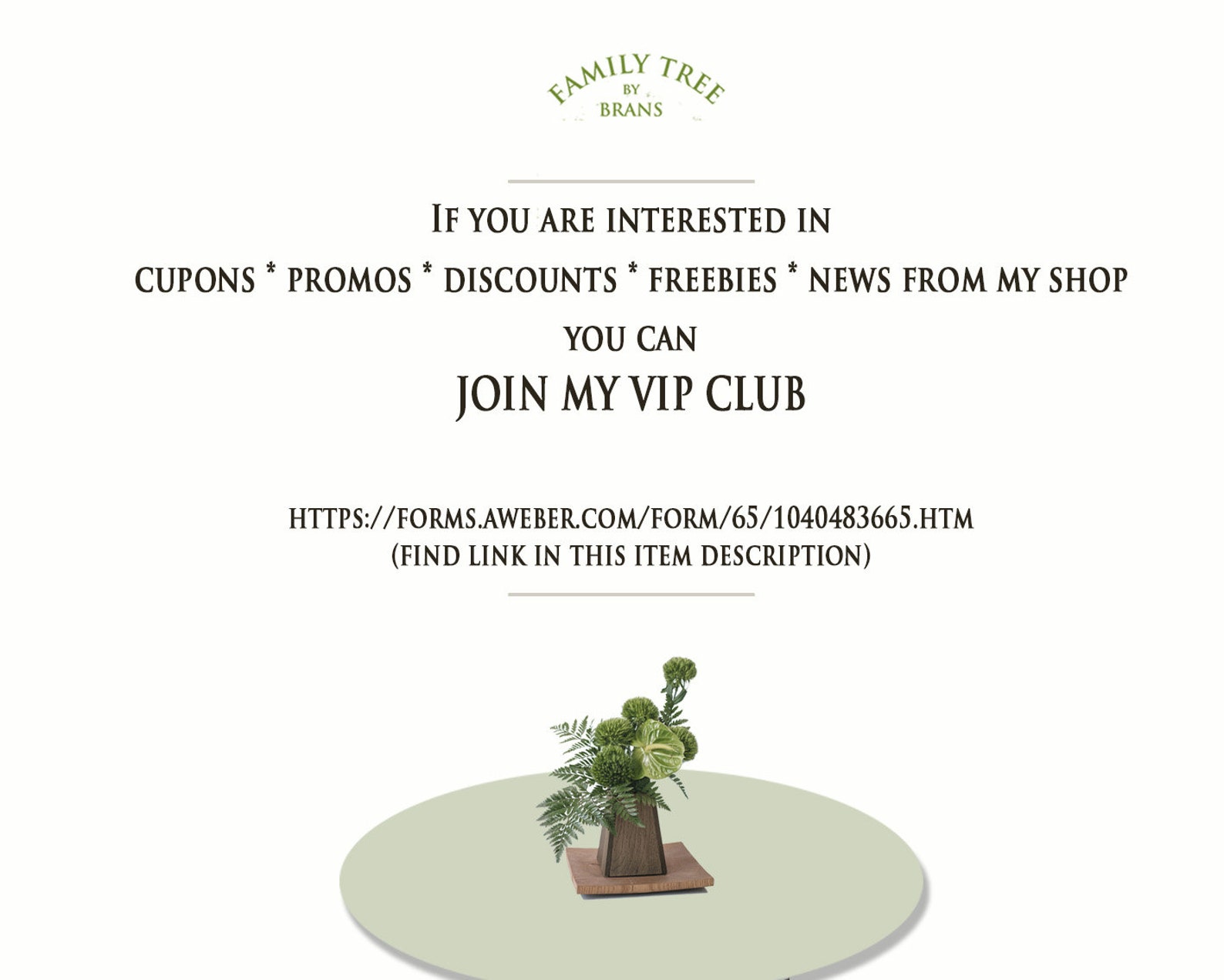 9 Generation Family Tree Template - Etsy