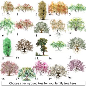 15 Generation Family Tree. Large Family Tree for 15 Ancestor ...