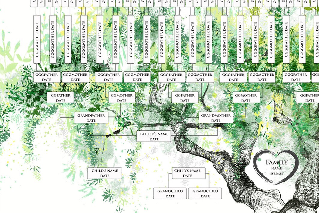 Great large ancestry genealogy family tree 28x14 | Etsy
