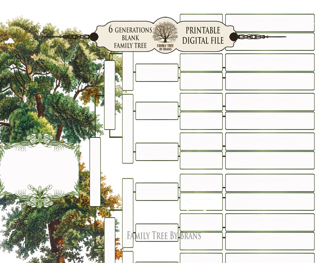 6 Generation BLANK FAMILY TREE Green Family Tree Wall Art - Etsy