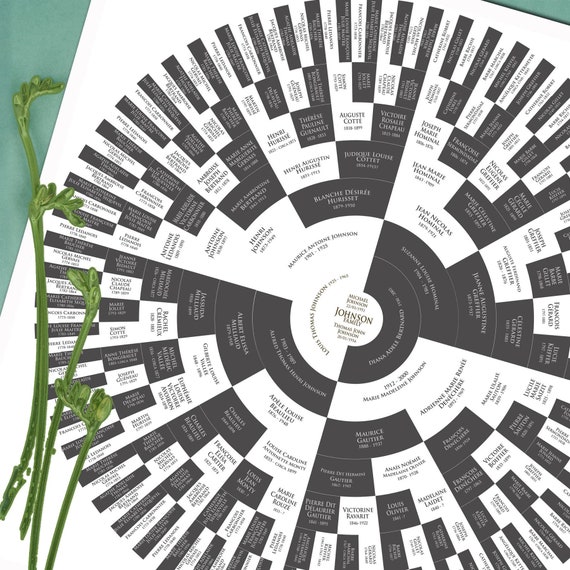 Fillable Family Tree 7-8 Generation. Easy Edit Family Tree in | Etsy