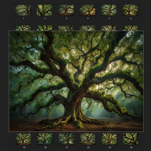 Large Tree 24 Pieces Realistic Digital Bundle Old Green Tree With ...