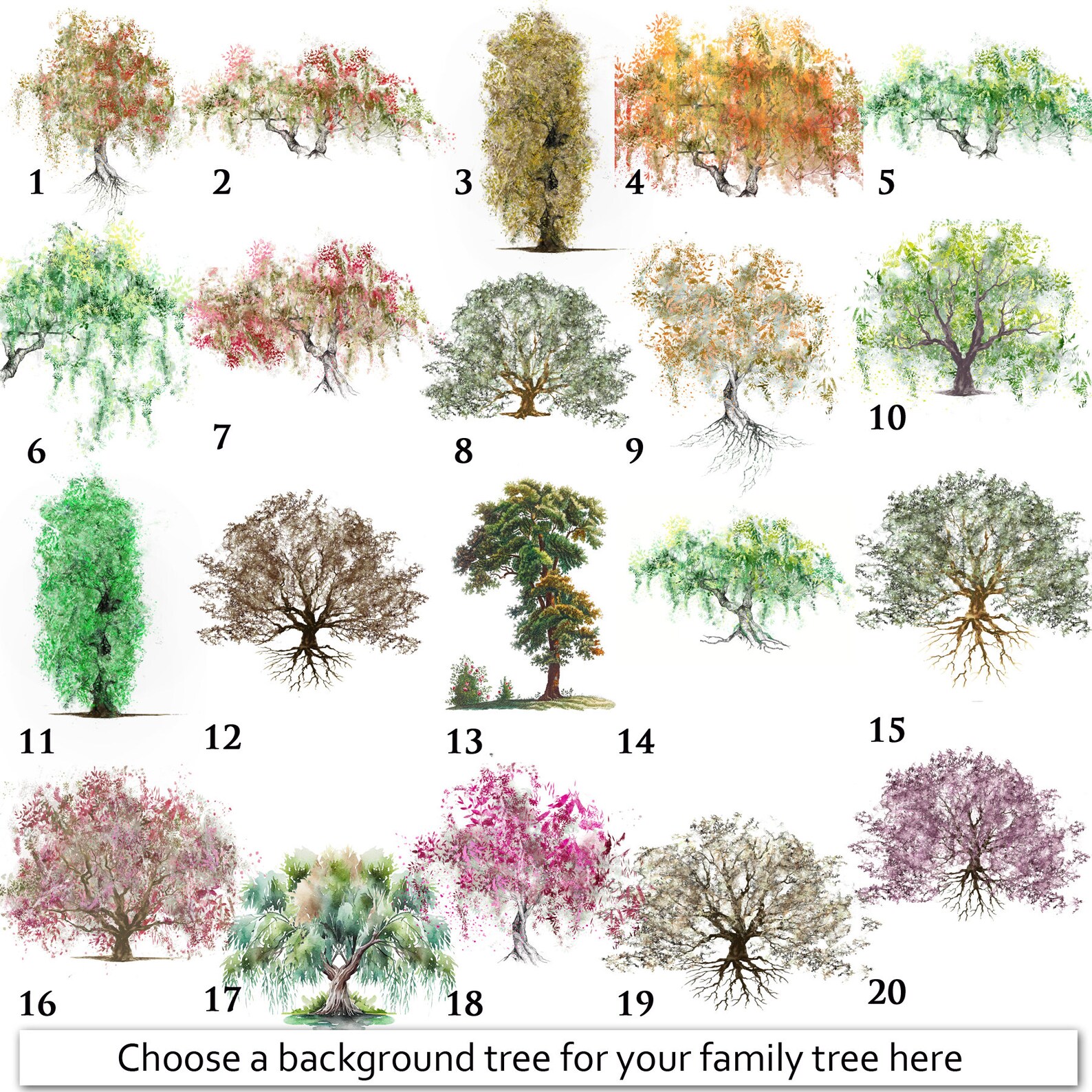 Ancestry Family Tree With Incomplete Information. Custom Family Tree ...